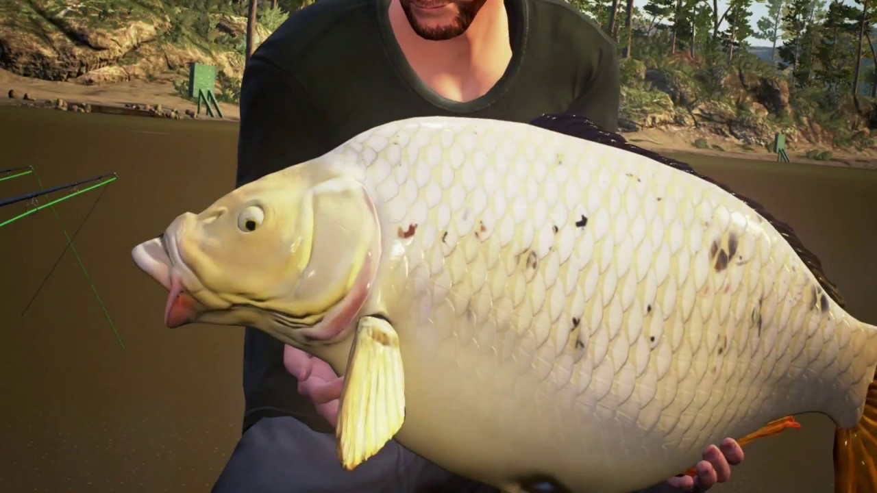 EURO FISHING: BEAUTIFUL WHITE BOSS - SCAR THE 31 POUND 0 OZ BOSS GHOST ...