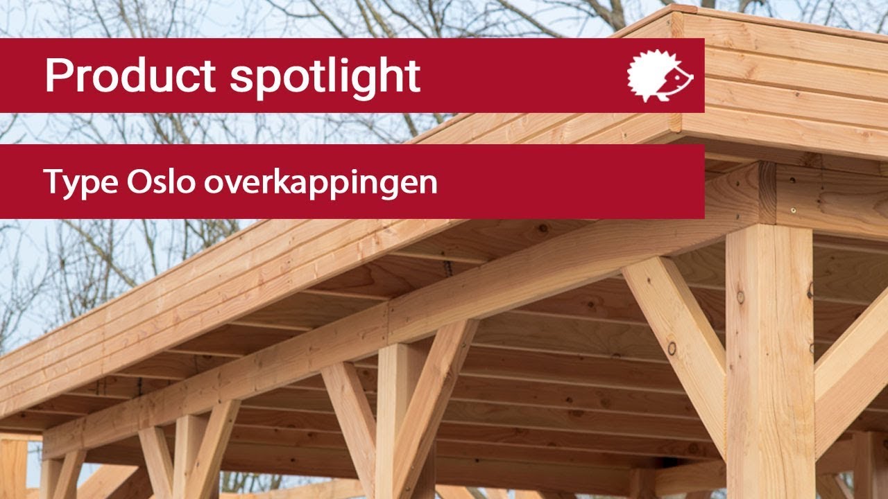 Overkapping Oslo XL Type 2 Lariks Geschaafd met Zwarte Wanden