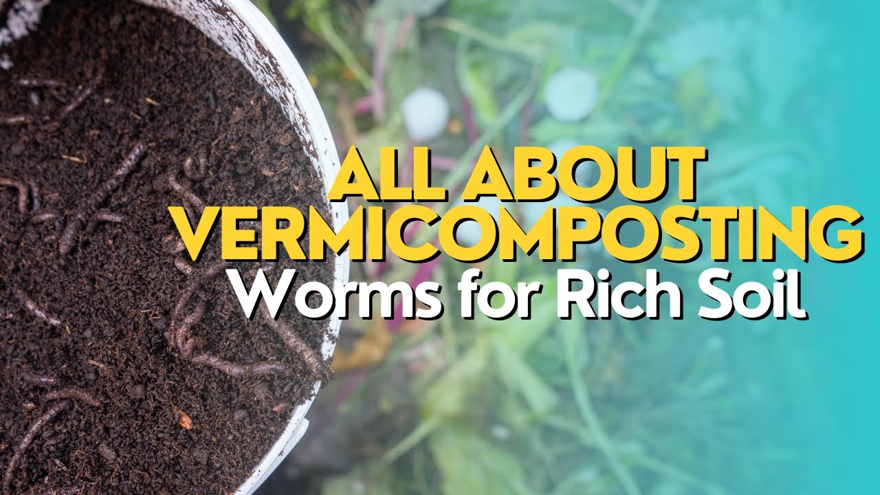 All About Vermicomposting: Worms for Rich Soil - YouTube