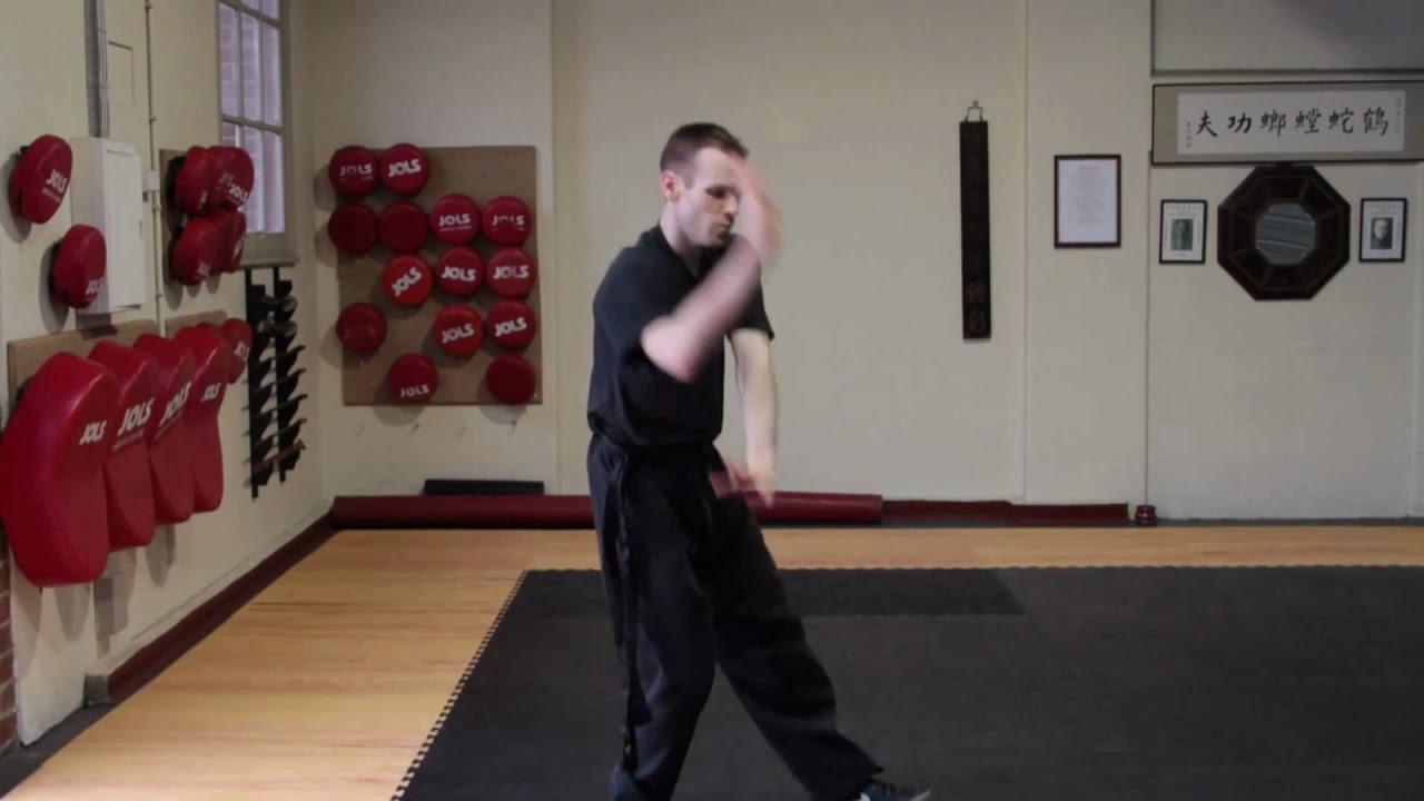 Crane Fist Form — kung fu - YouTube