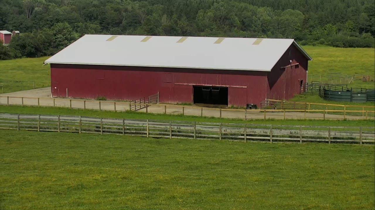 Wisconsin Pasture Cam 07-05-2018 12:57:28 - 13:57:29 - YouTube