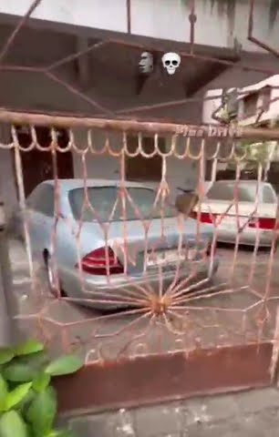 harshad mehta old house 🏠 - YouTube