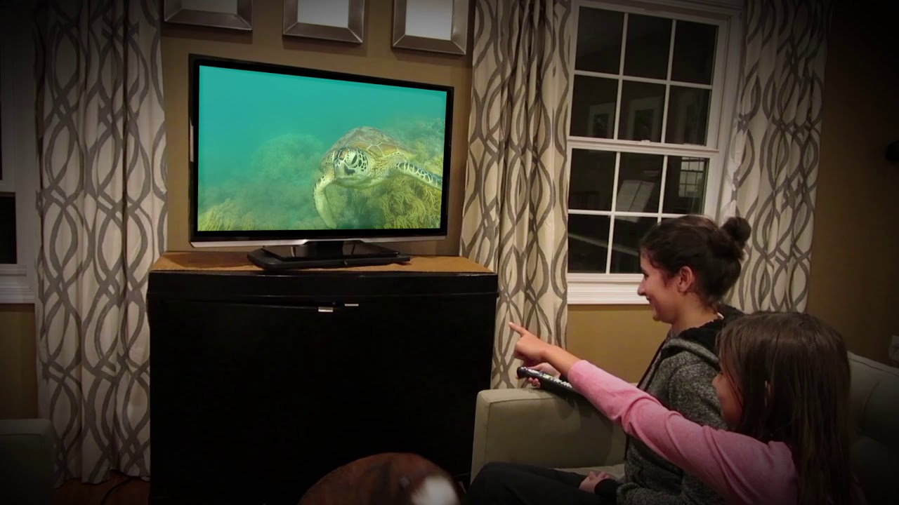 Time to Watch TV - YouTube