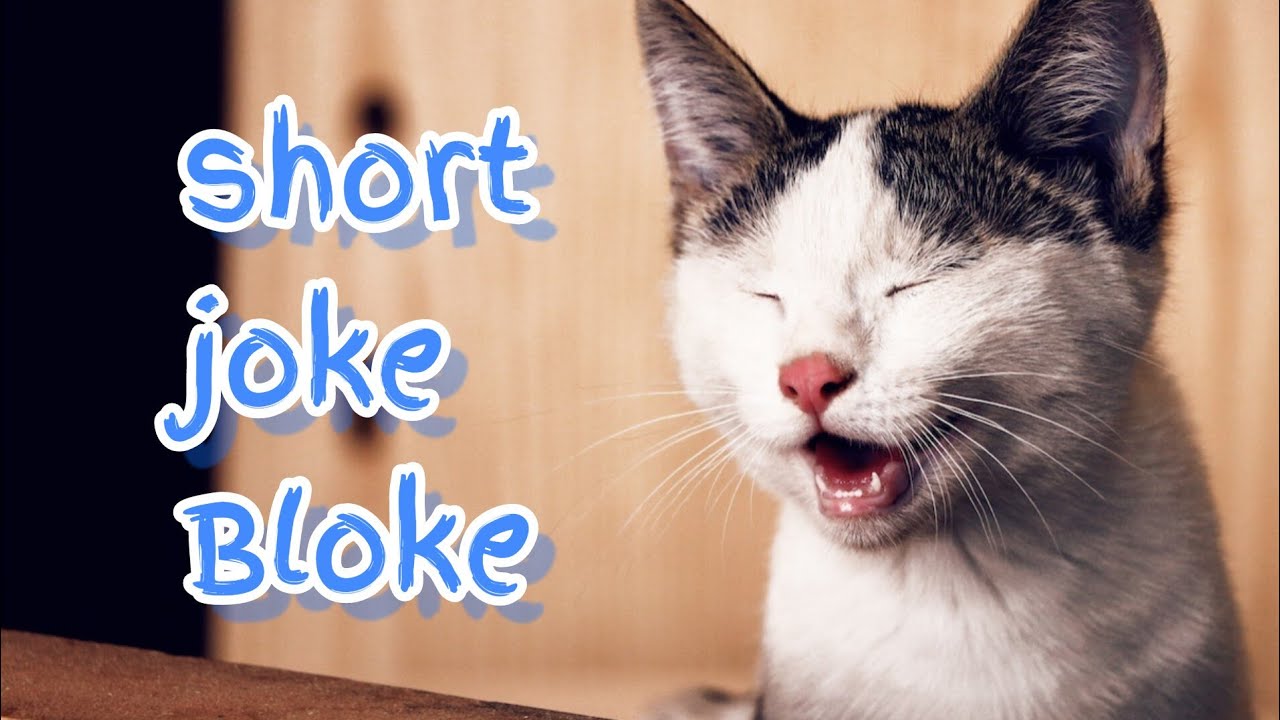 Comedy Show with the Short Joke Bloke! #jokes #comedy #funny #lol - YouTube