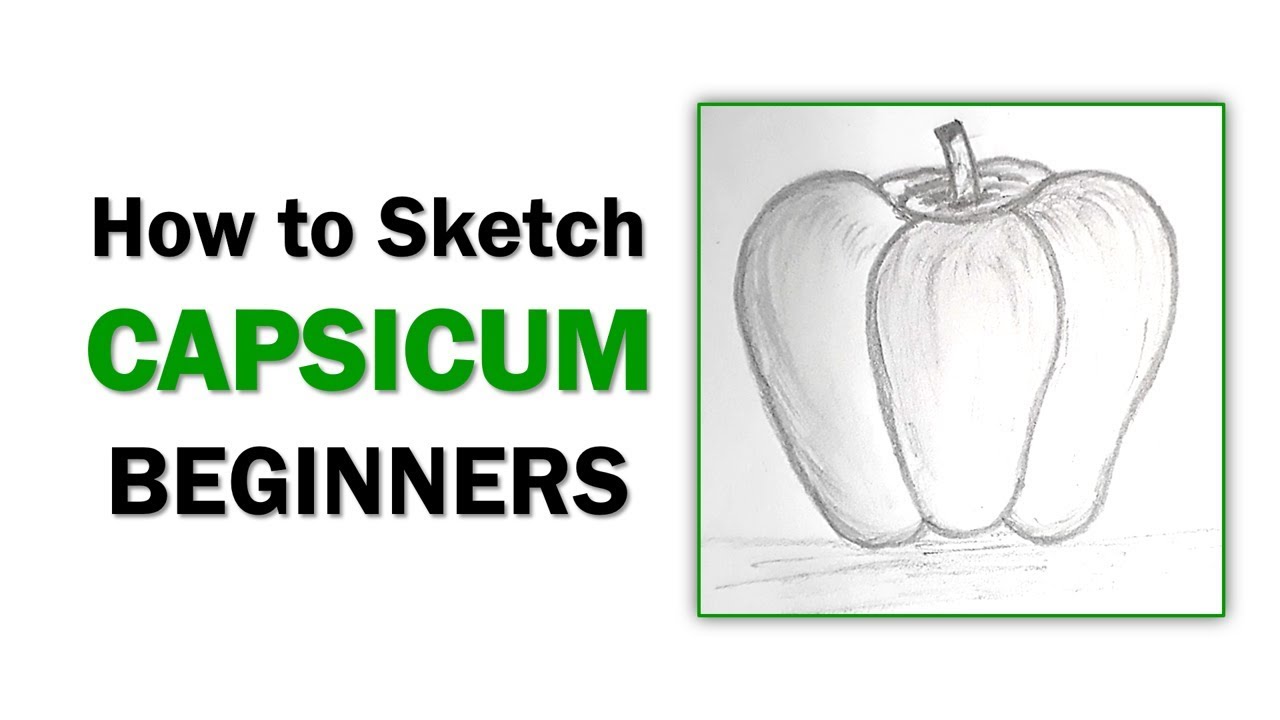 How-to-Draw a CAPSICUM SKETCH, for Beginners and kids/Capsicum drawing ...