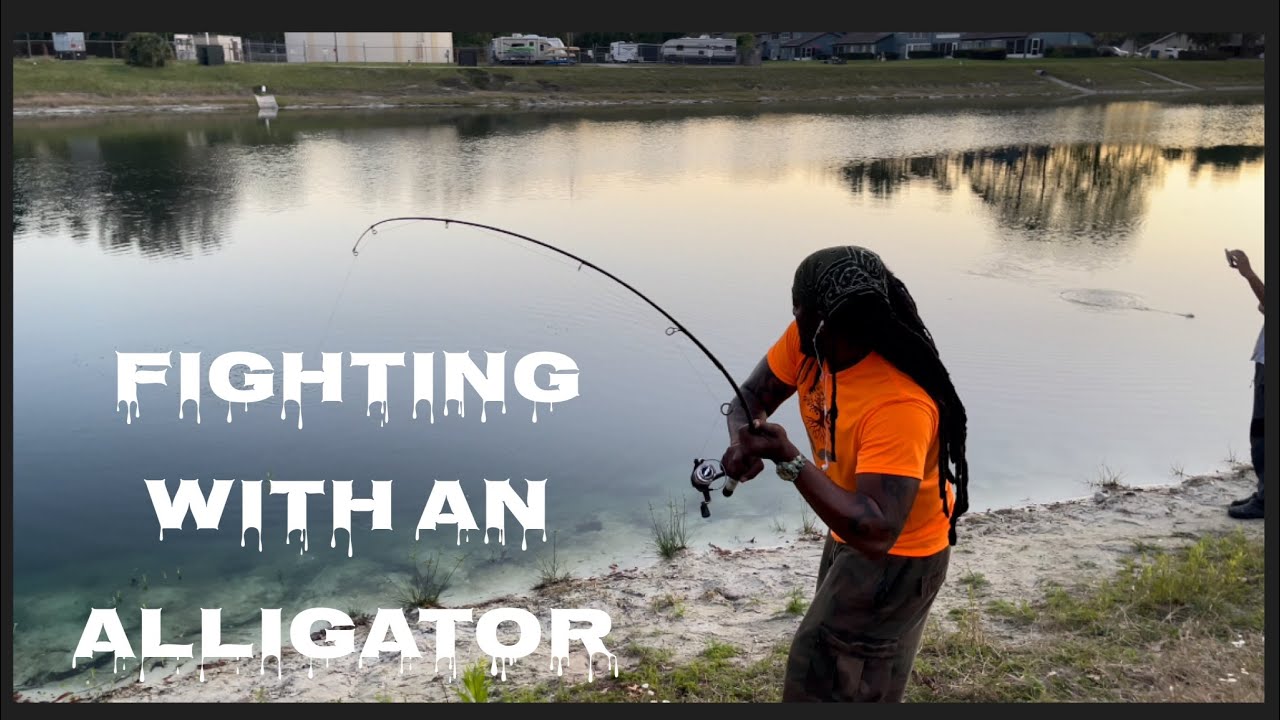 Trying to catch an alligator 🐊 lol - YouTube