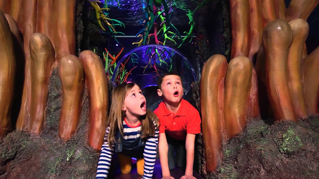 SEA LIFE Manchester - TV and cinema advert 2014 - YouTube