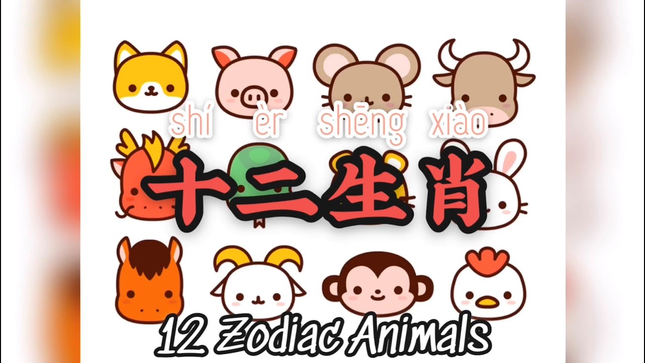 Zodiac Animals in Mandarin Chinese | 十二生肖 | Zodiac Animals Tutorial in ...