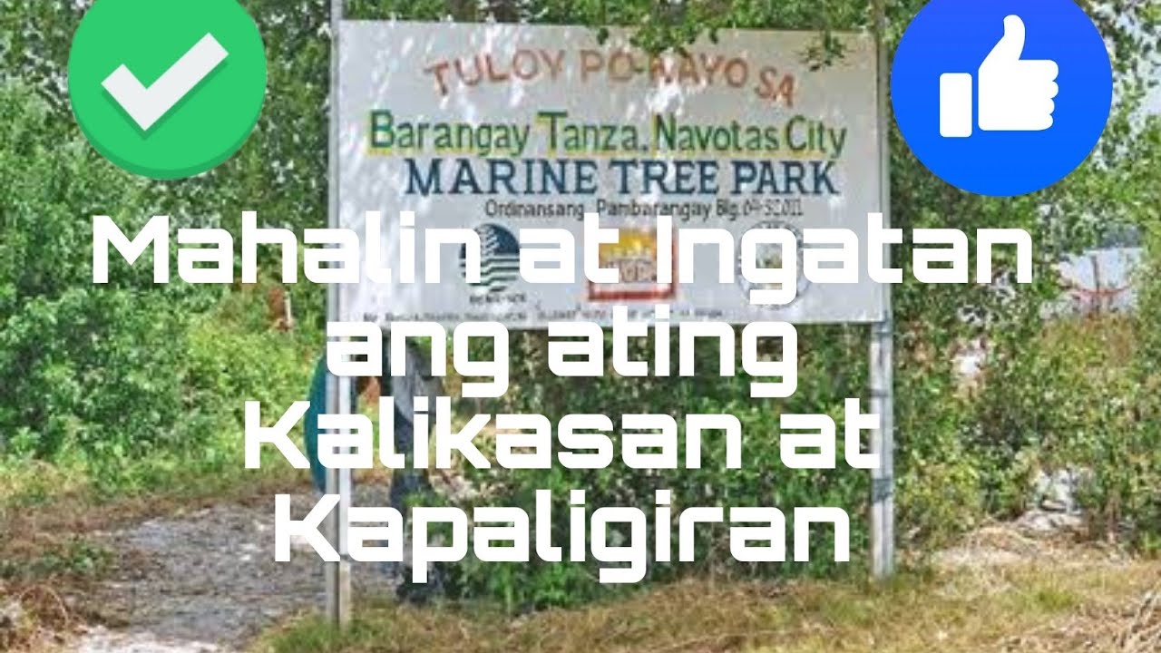 Mangrove Tree Planting and Coastal Clean Up at Tanza Marine Tree Park ...