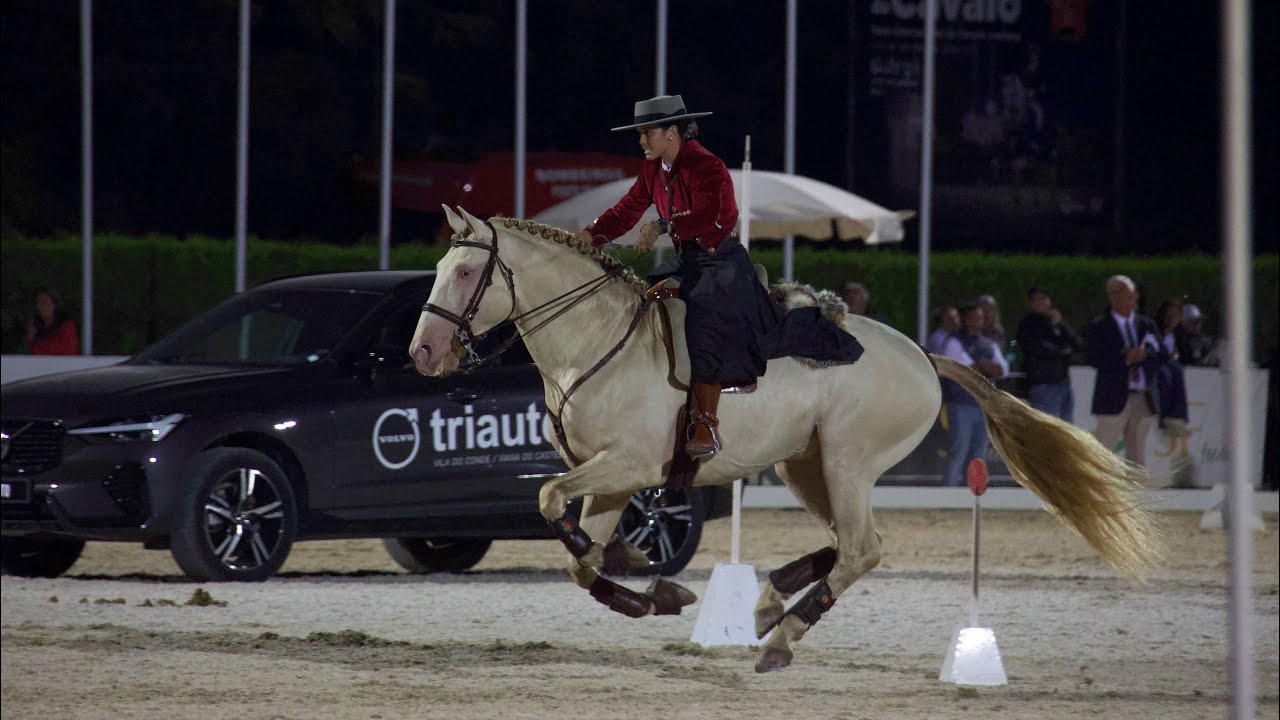 World championship of working equitation- speed test- Nicole e Inca ...