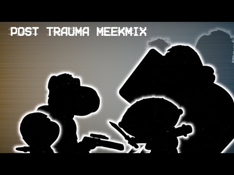 Post Trauma Meekmix, but QLS Chip & QLS Brian is in Universal Collision ...