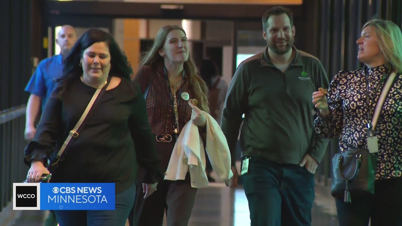 New proposal looks to improve St. Paul's skyway system - YouTube