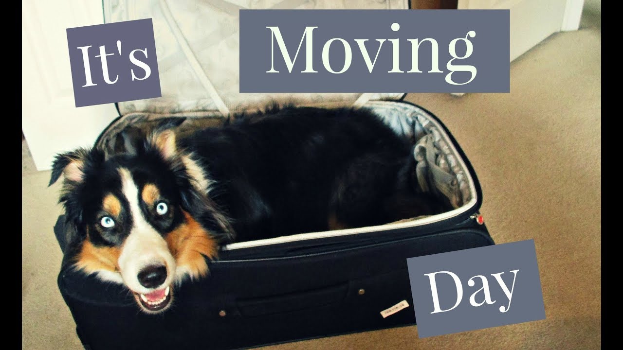 It's Finally Moving Day - Vlog 18 (2017) - YouTube