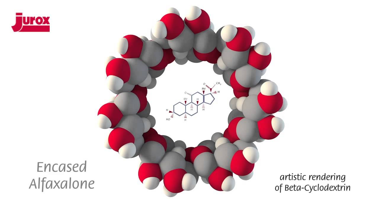 Jurox formulation of Alfaxan® - YouTube