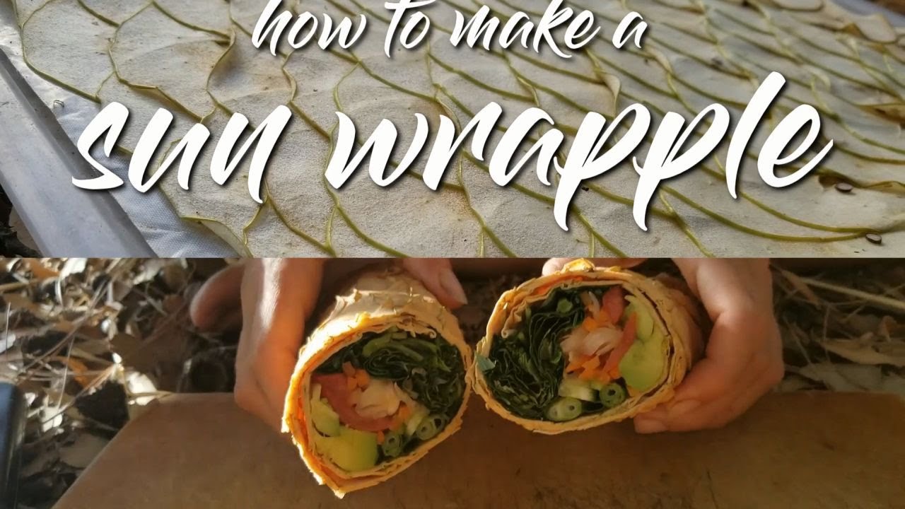 raw recipe: sun wrapple ~ a sandwich wrap/tortilla made from 1 ...