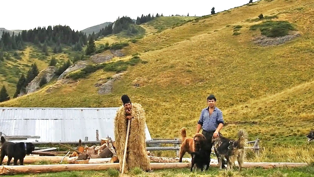 LA STANA LUI ALEX CERNAT,IN VARFUL MUNTELUICIUCAS, O STANA IZOLATA ...