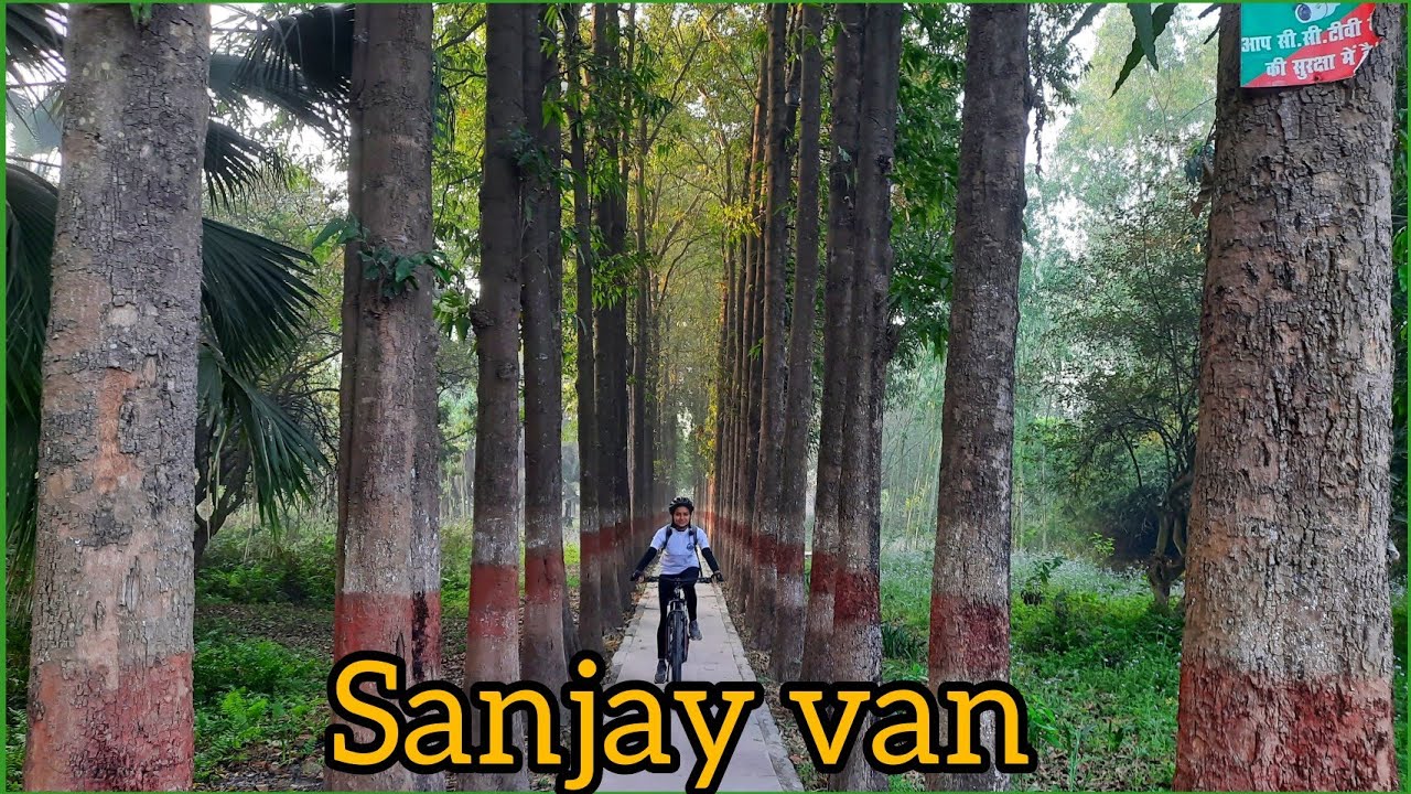 Sanjay Van Rudrapur, Uttarakhand cycle Ride🚲| संजय वन | Pahadan ...