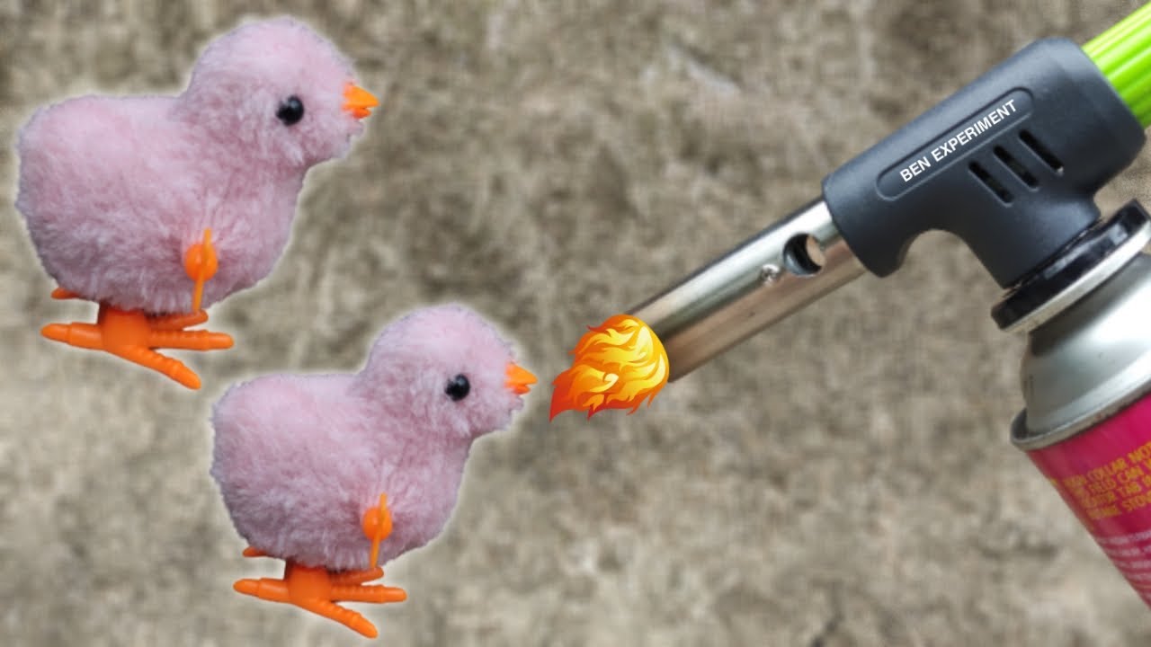 EXPERIMENT : GAS TORCH VS 2 CHICKEN PINK - YouTube