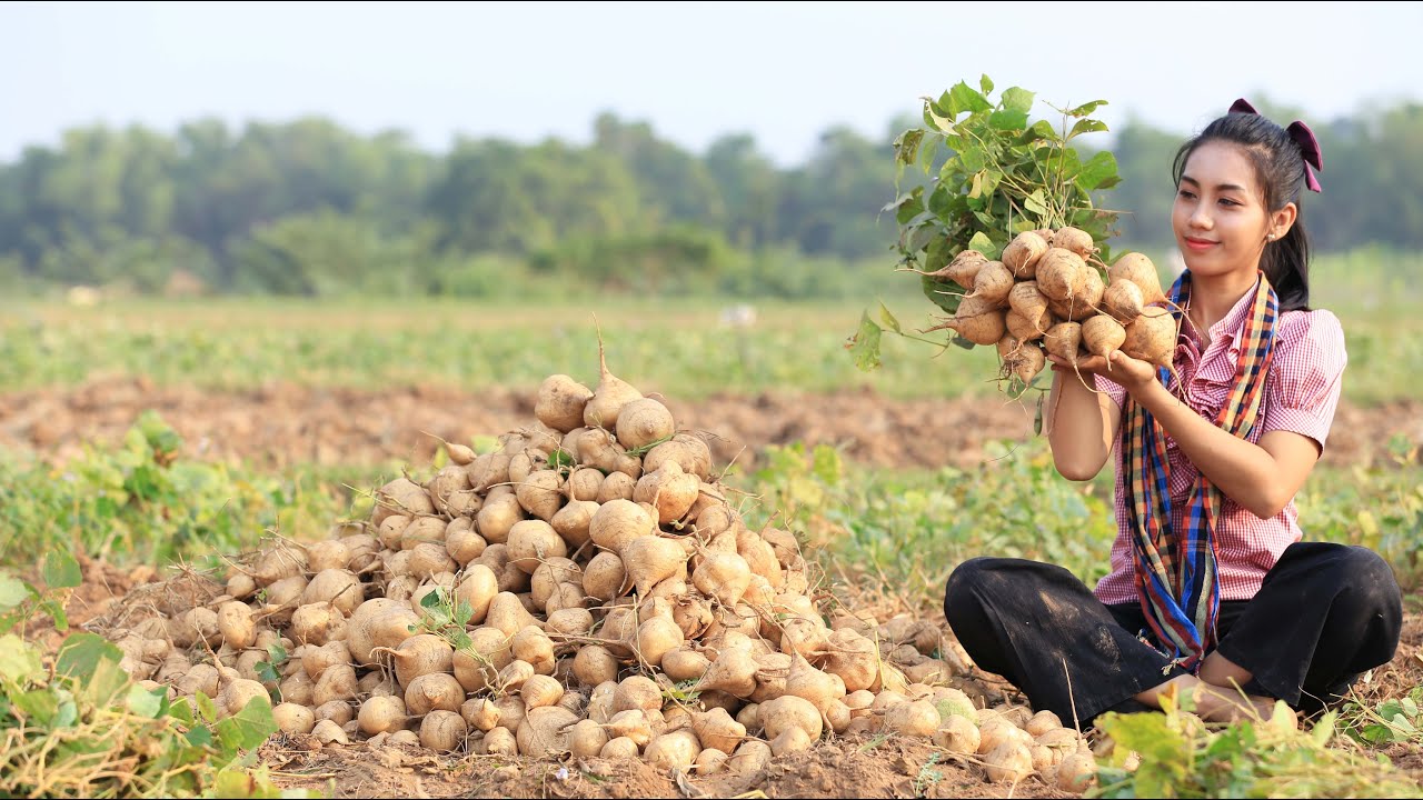 Have you ever seen this fruit in your homeland my country it call Pek ...
