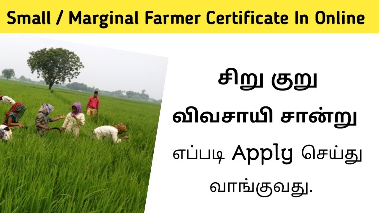 How to apply சிறு குறு விவசாயி சான்று / Small / Marginal Farmer ...