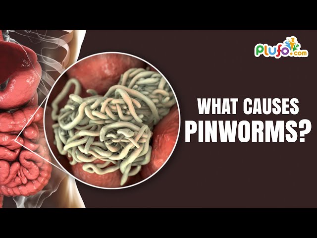 Pinworms In Kids