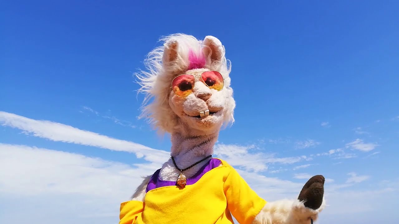 Nina, la llama vlogger - YouTube