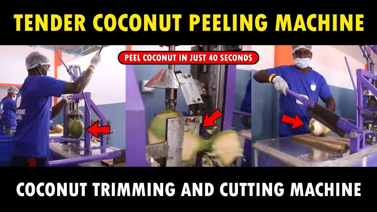 Tender Coconut Peeling Machine | Coconut Trimming and Cutting Machine ...