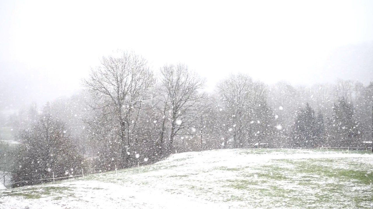 Snowfall Snow Snowflakes Snow Storms Flake 2 No Copyright Video - YouTube