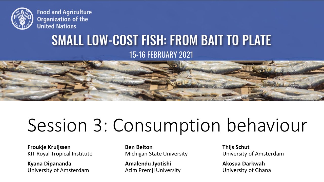 Small Fish Seminar: Session 3, Consumption behaviour - YouTube
