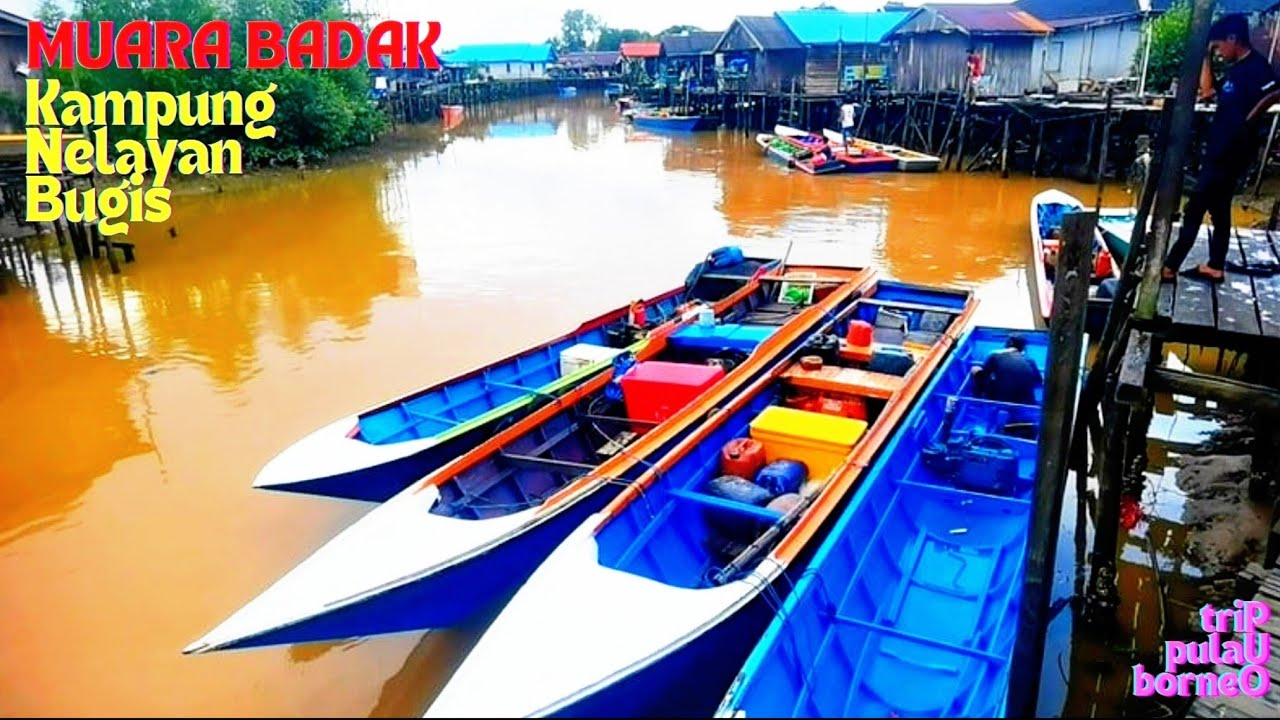 Kampung Nelayan Bugis Penghasil Kepiting Dan Udang Terbesar ? - YouTube