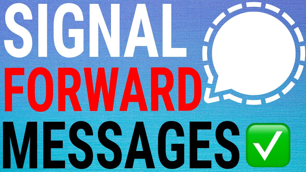 How To Forward Messages On Signal - YouTube