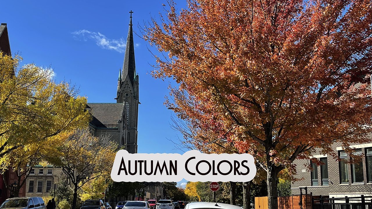 autumn colors, fall colors, 秋天的色彩, 金秋十月, October golden colors 31th st ...