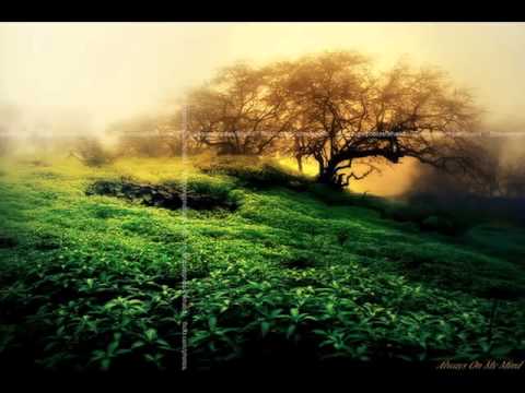 tere naina   kailash kher   YouTube