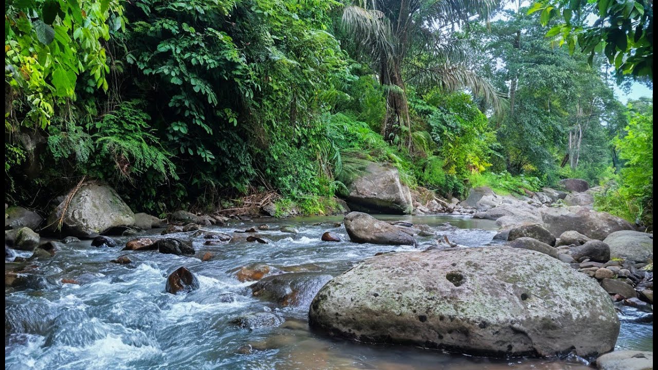 Sleep Streaming with Peaceful Water Sounds for Deep Sleep and Total ...
