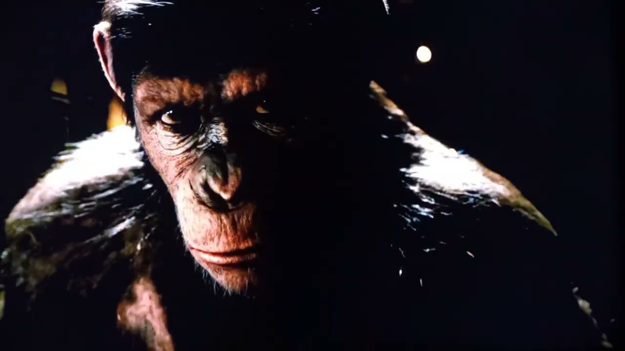 Rise of the Planet of the Apes - FXM Promo - YouTube