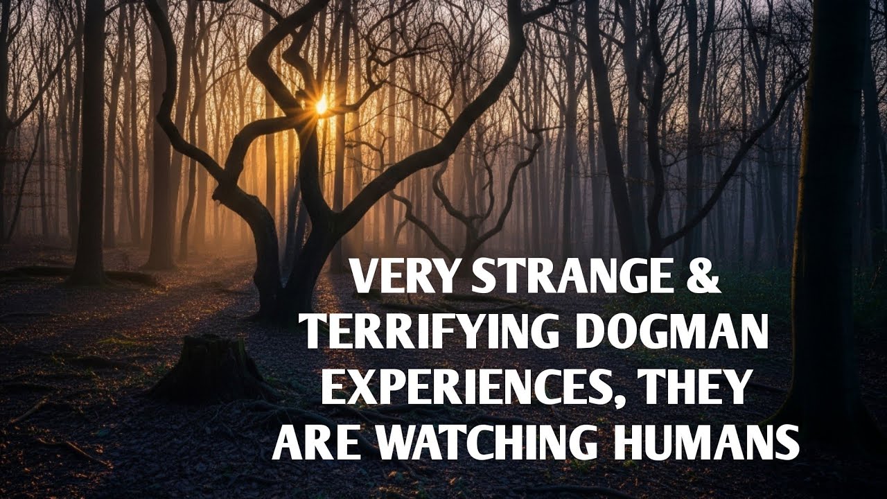 #DOGMAN, VERY STRANGE & TERRIFYING DOGMAN EXPERIENCES, THEY ARE ...
