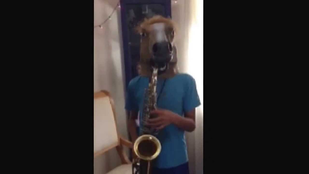 Horse mask saxophone - YouTube