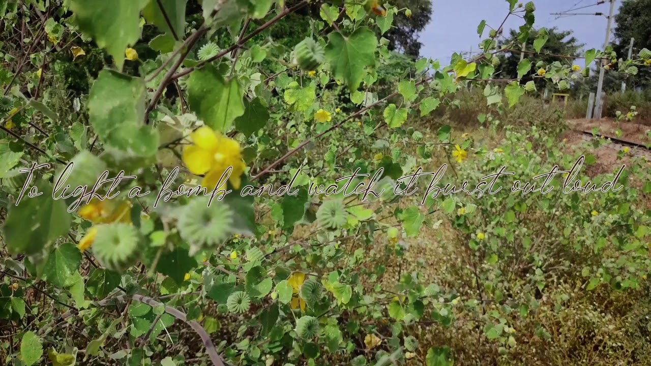 Mali - Mango showers (cover) - YouTube