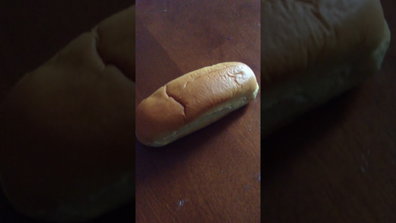 Purebread dog - YouTube
