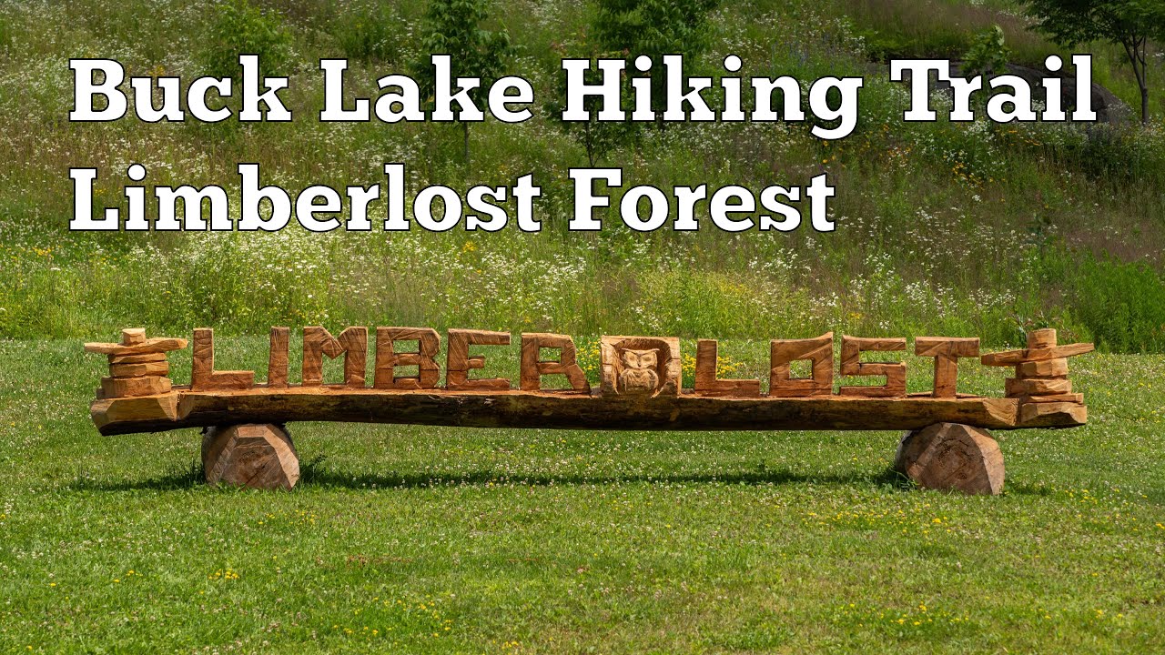 Buck Lake Hiking Trail At Limberlost Forest - YouTube