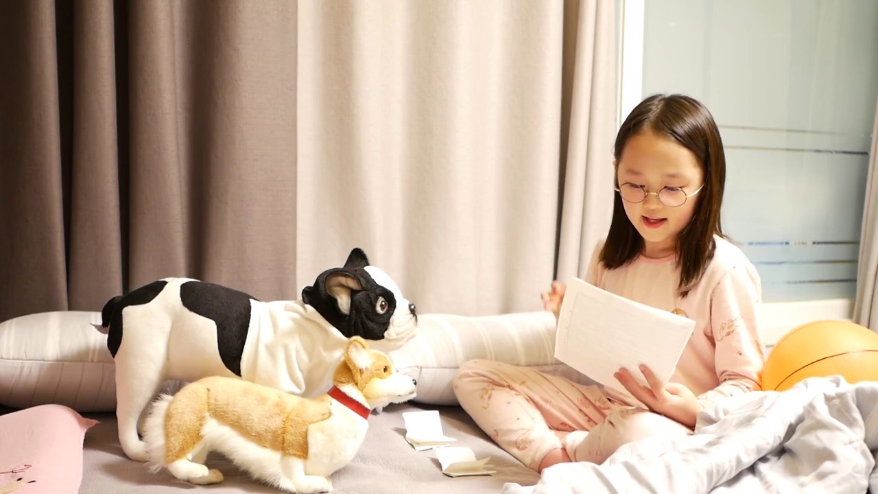 [일상] 수민양의 동물 영어 수업 Sumin's Animal English Class - YouTube