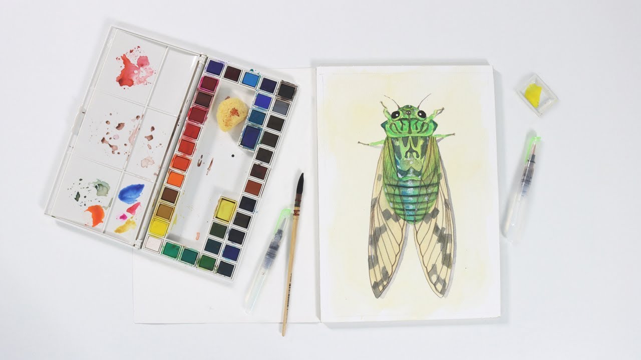 Paint a cicada with watercolours - YouTube