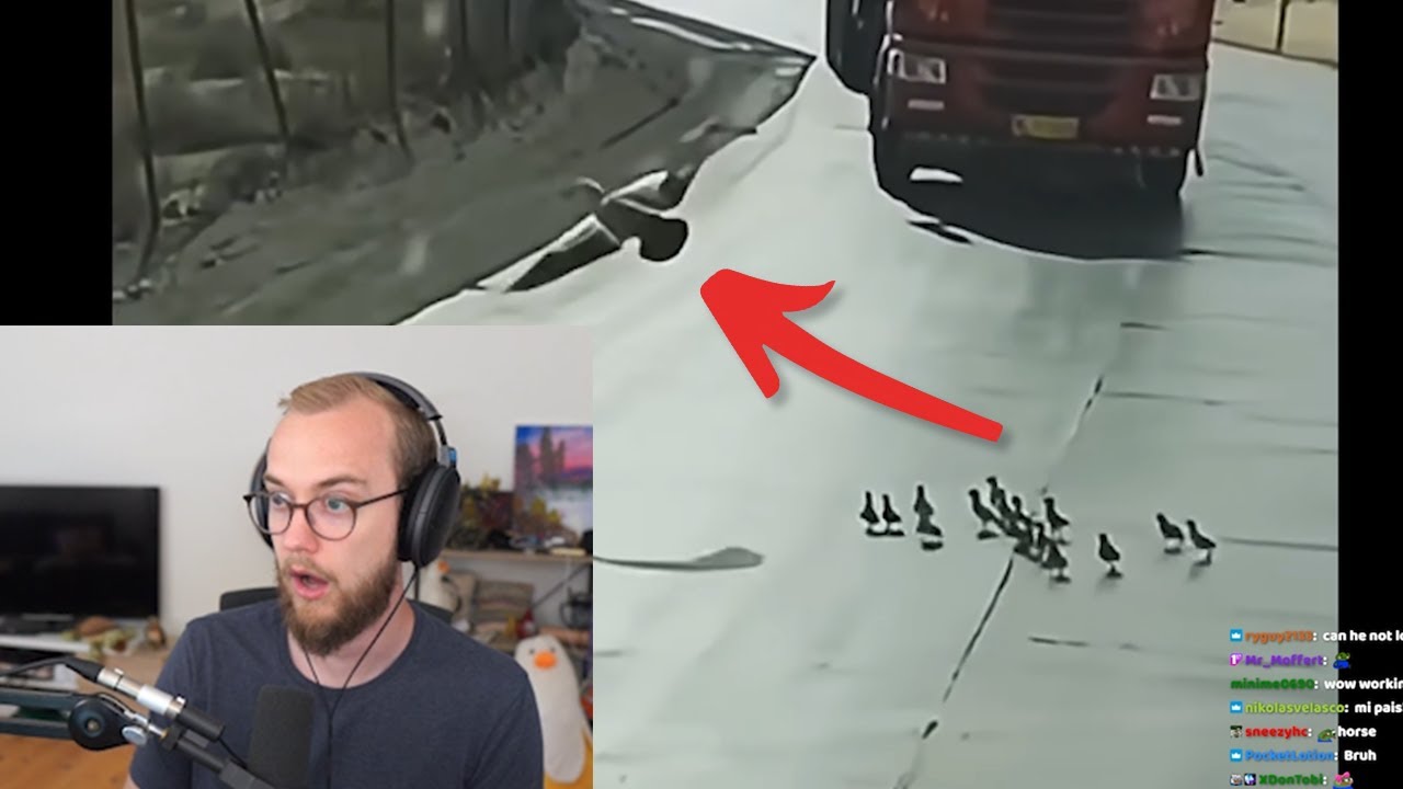 SHE LEFT THEM!! Unusual memes compilation - Guzu reacts - YouTube