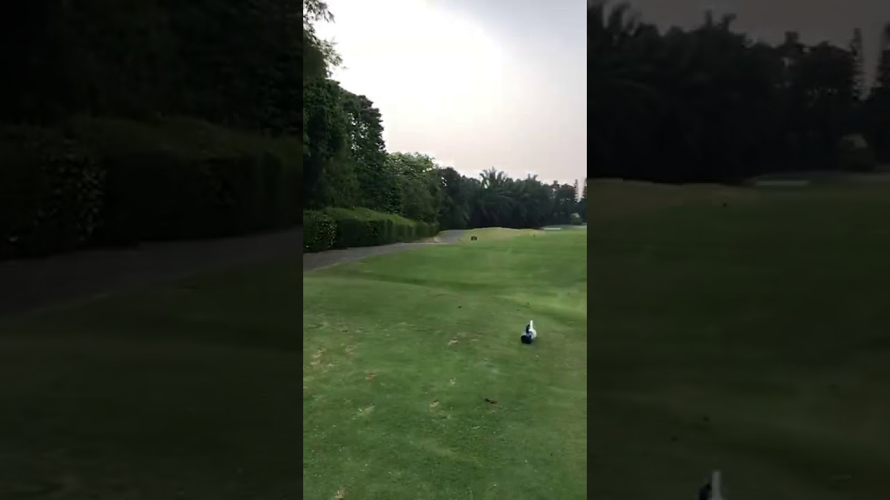 Birdie Shots - YouTube
