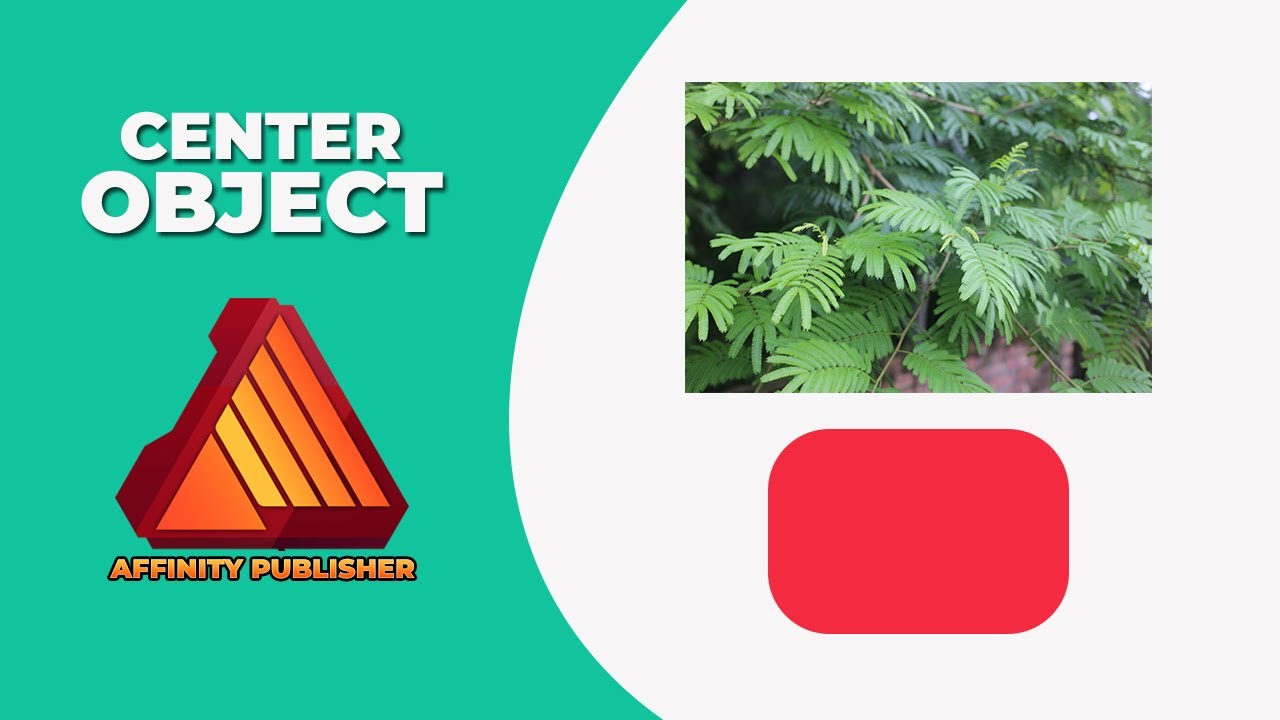 How To Center Object In Affinity Publisher YouTube how-to-center-object-in-affinity-publisher-youtube