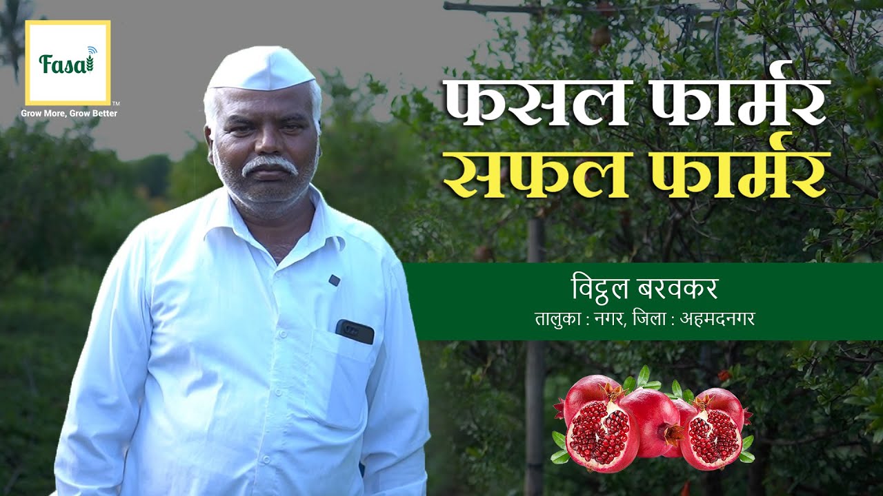 Fasal App | सटीक व उन्नत डाळिंब शेती । विठ्ठल बावकर । अहमदनगर ...