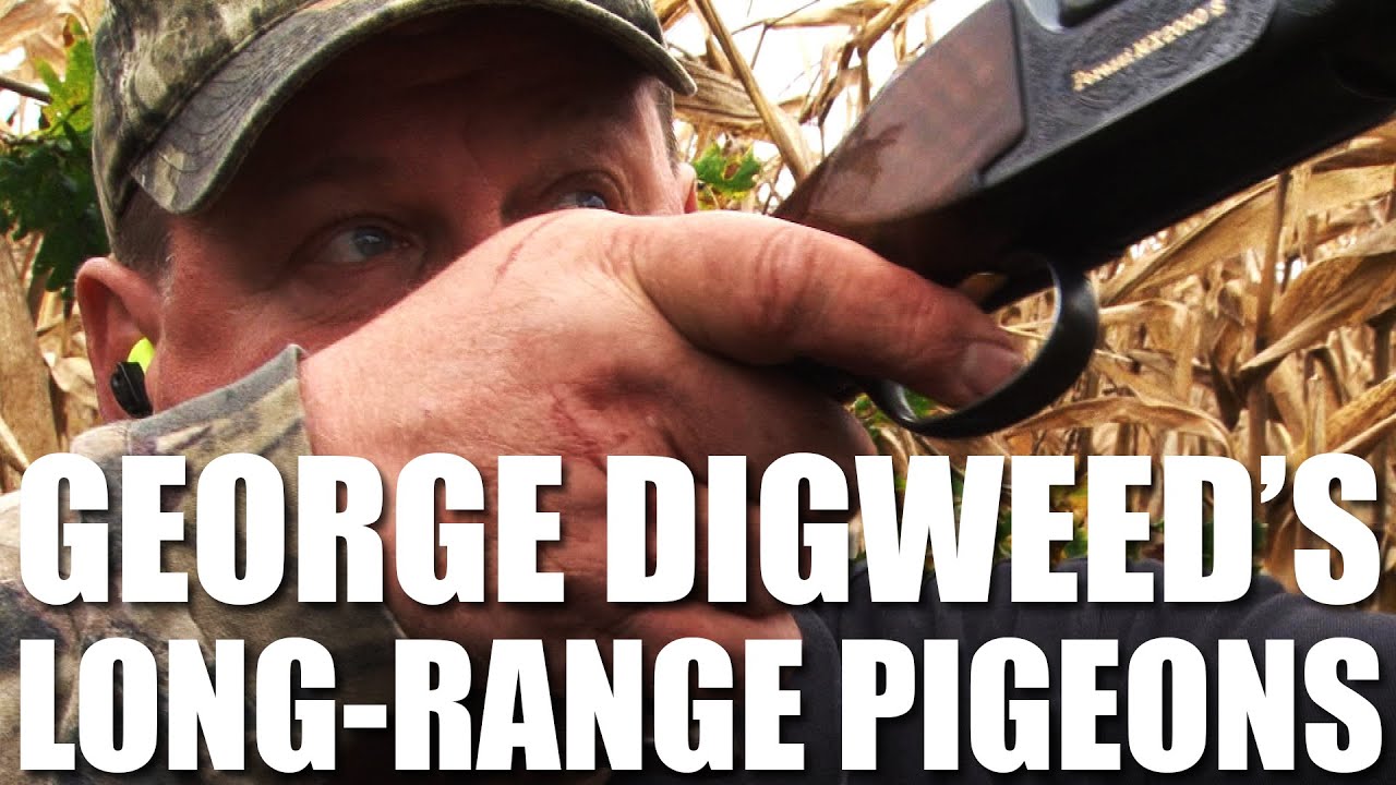 George Digweed shoots Long-Range Pigeons - YouTube