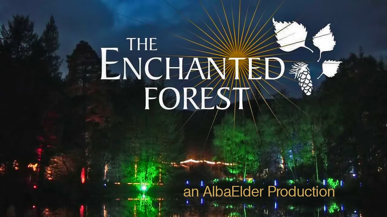 Enchanted Forest 2015 Light Wall Show - YouTube