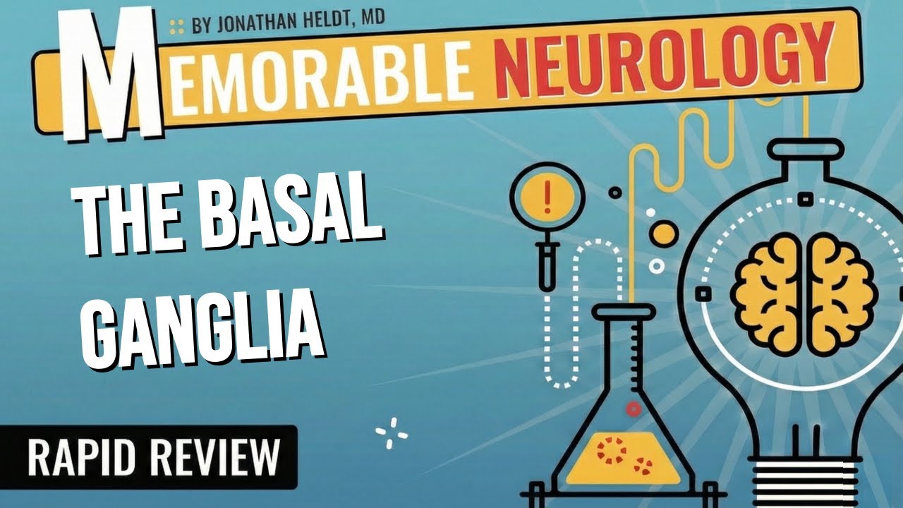 Basal Ganglia Mnemonics (Memorable Neurology Lecture 4) - YouTube