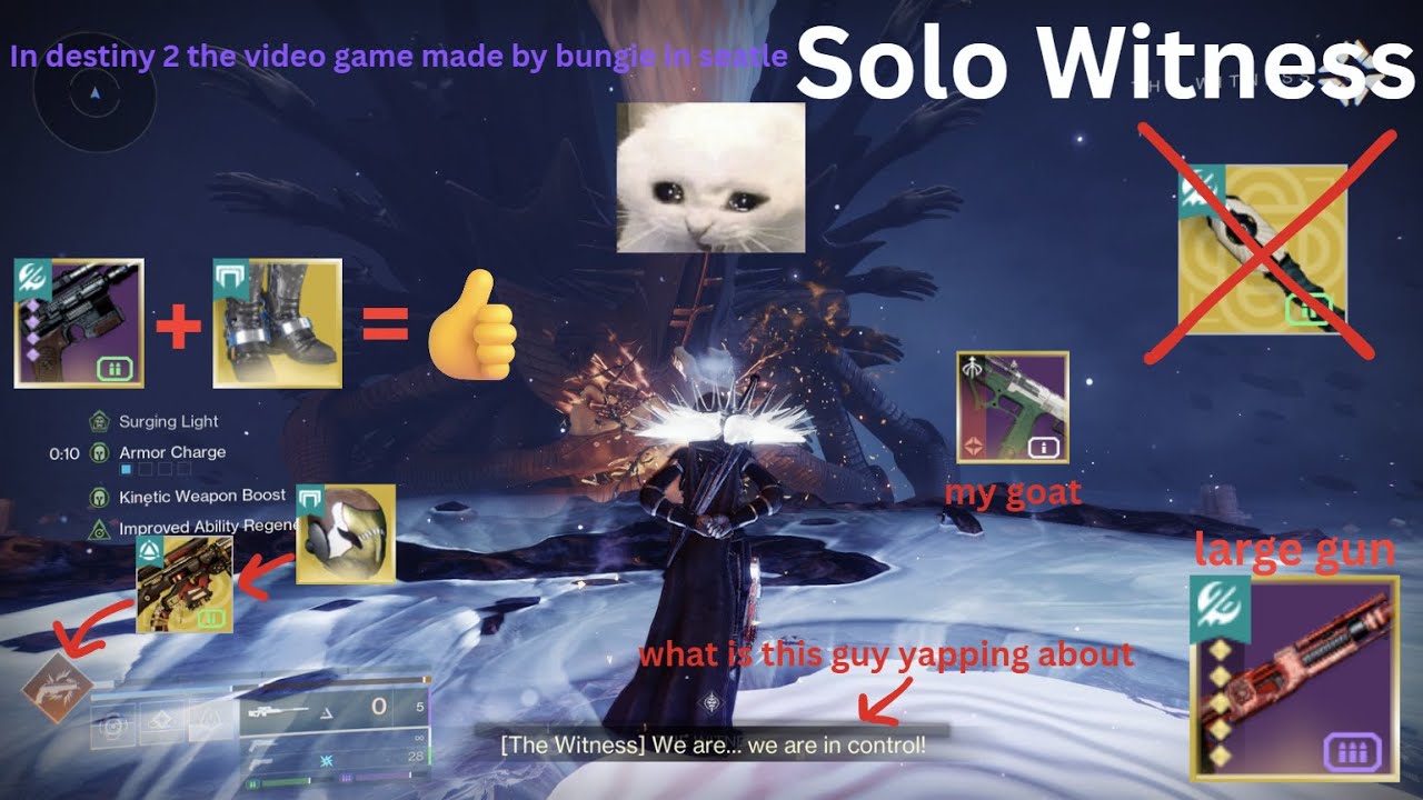 Destiny 2 - Solo Witness - YouTube